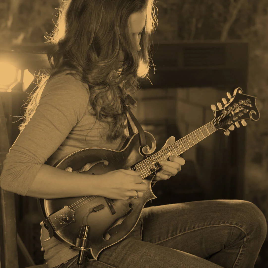Acoustic Instrument Pickups — LR Baggs