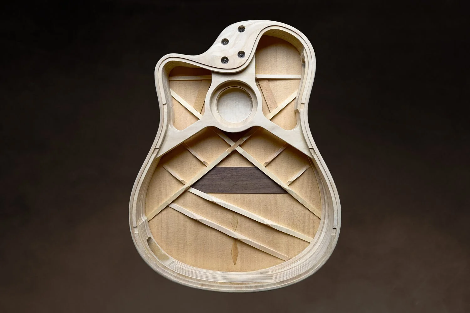 AEG-1 Acoustic Electric Guitar — LR Baggs