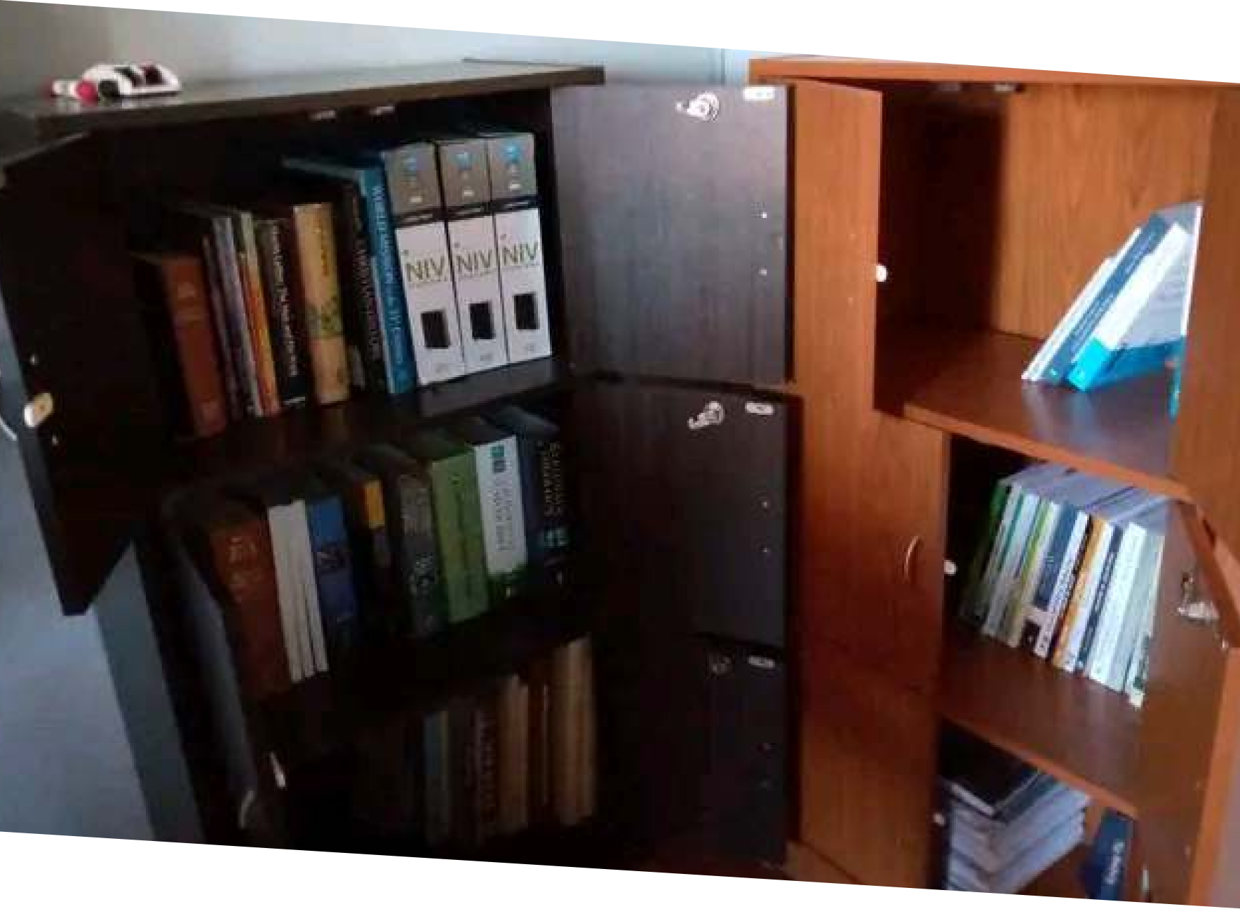 Leadership training — RICSM