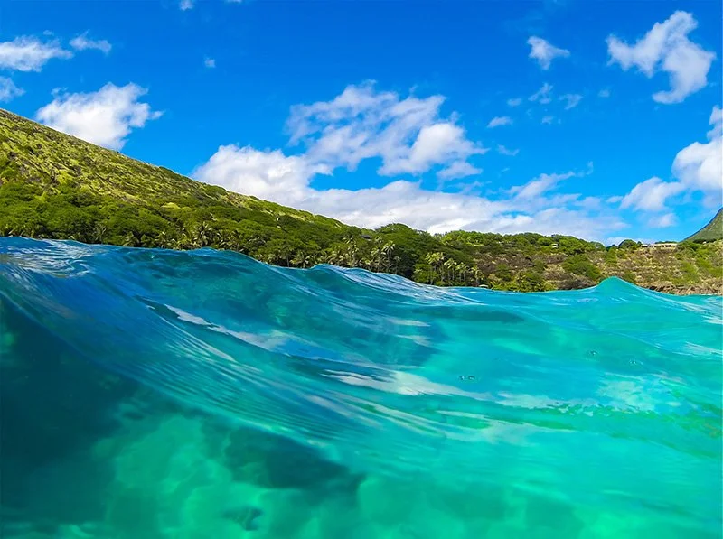 How To Visit Hanauma Bay Responsibly — Dear Ocean
