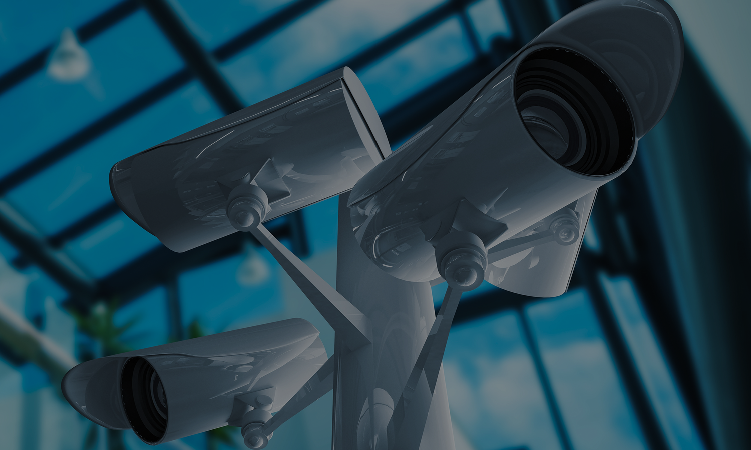 Allied Risk Management