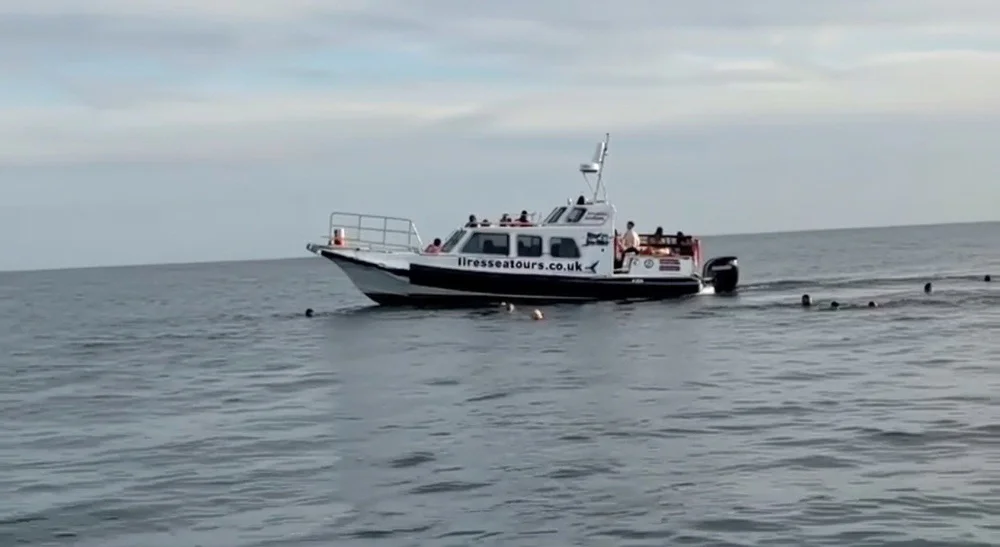 Tiree Sea Tours: Boat Trips from the beautiful Isle of Tiree