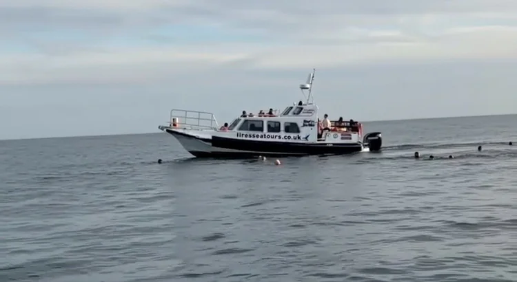 Tiree Sea Tours: Boat Trips from the beautiful Isle of Tiree