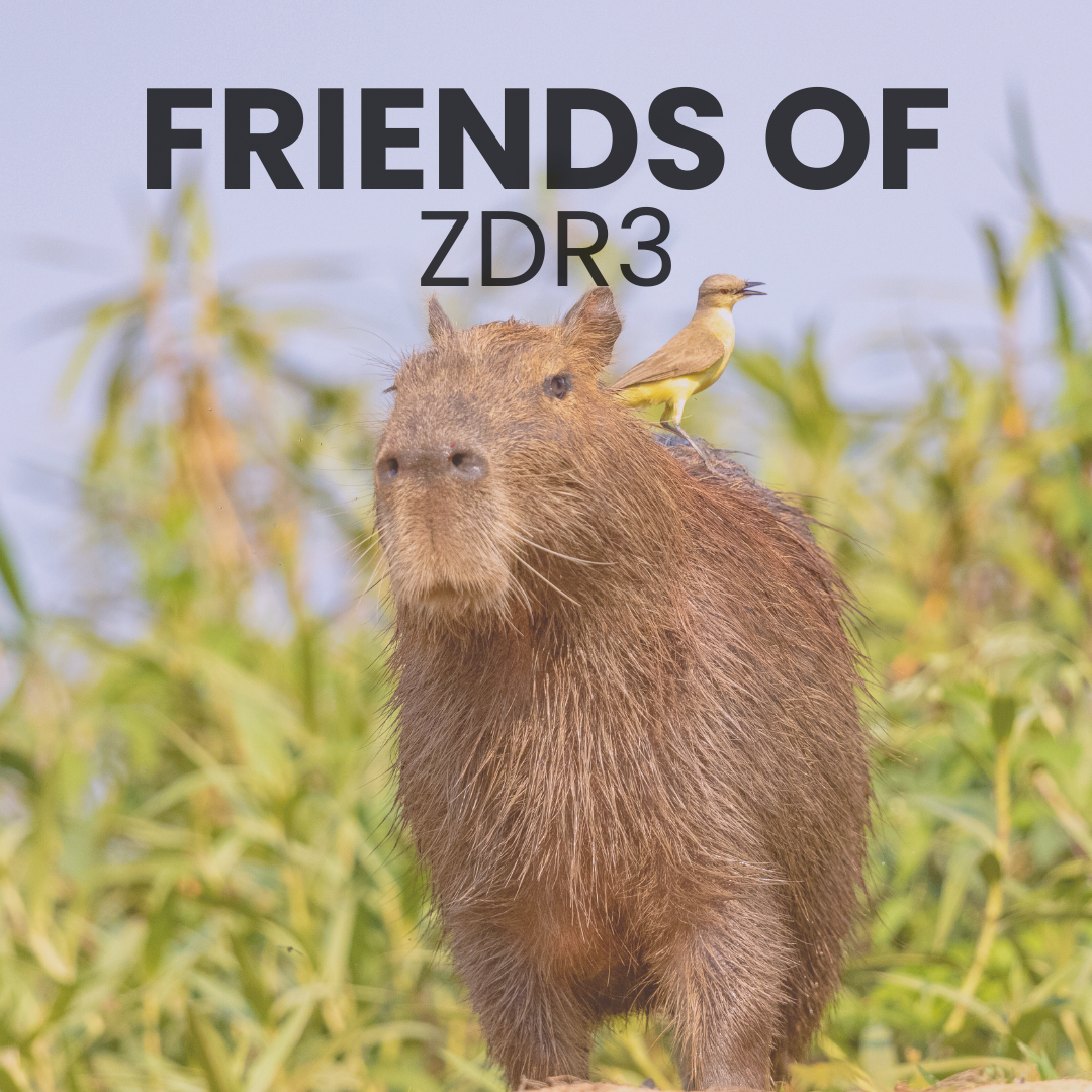 Support ZDR3 — Zoological Disaster Response, Rescue, And Recovery (ZDR3)