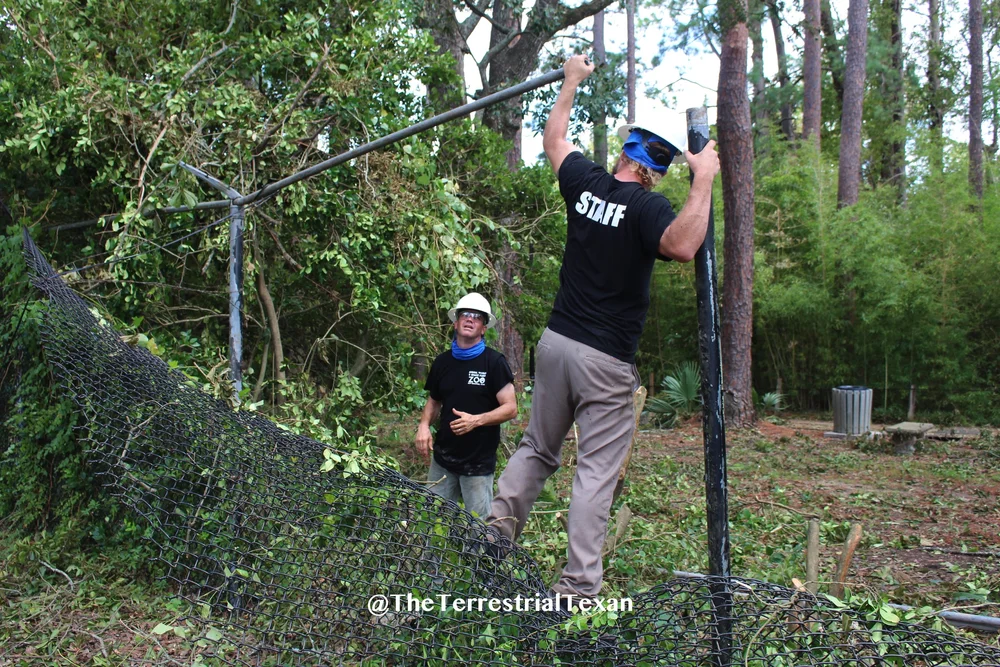 All Responses — Zoological Disaster Response, Rescue, And Recovery (ZDR3)