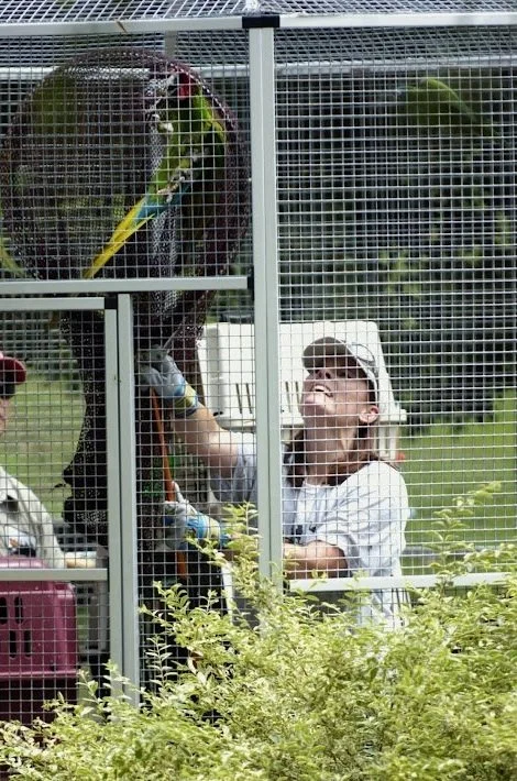 Grants & Cooperative Agreements — Zoological Disaster Response, Rescue ...