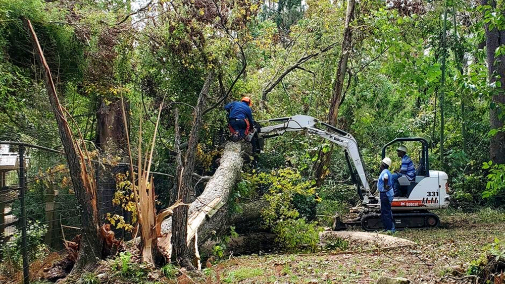 Zoological Disaster Response, Rescue, And Recovery (ZDR3)