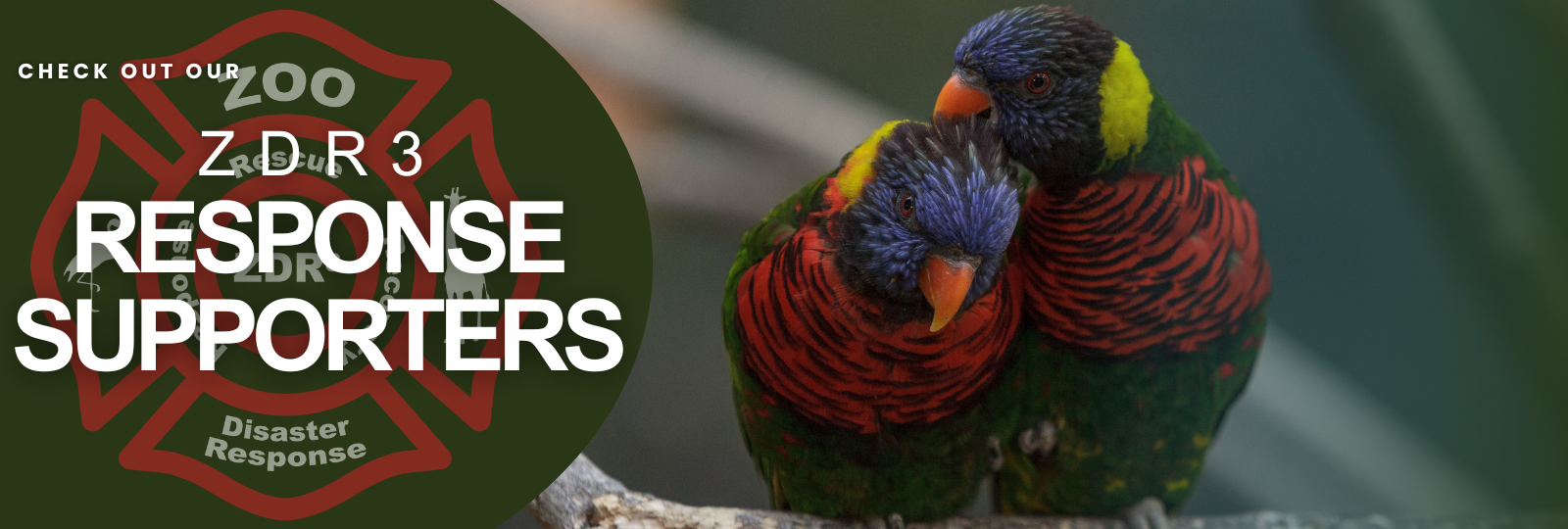 All Responses — Zoological Disaster Response, Rescue, And Recovery (ZDR3)