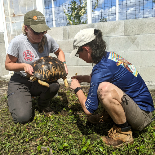 Zoological Disaster Response, Rescue, And Recovery (ZDR3)