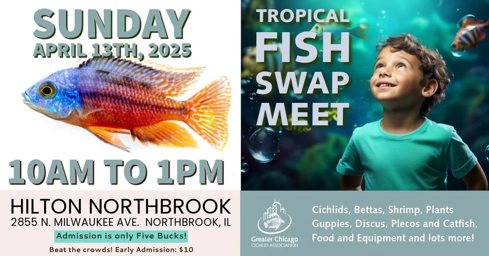 GCCA Tropical Fish Swap Meet — Chicago Aquatic Plant Society