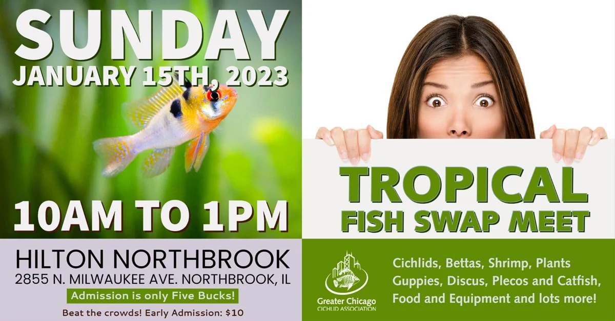GCCA Tropical Fish Swap Meet — Chicago Aquatic Plant Society