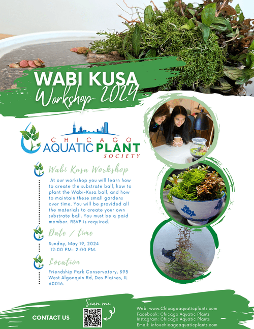 2025 Wabi Kusa Workshop | Discover Wabi Kusa Art — Join the Workshop ...