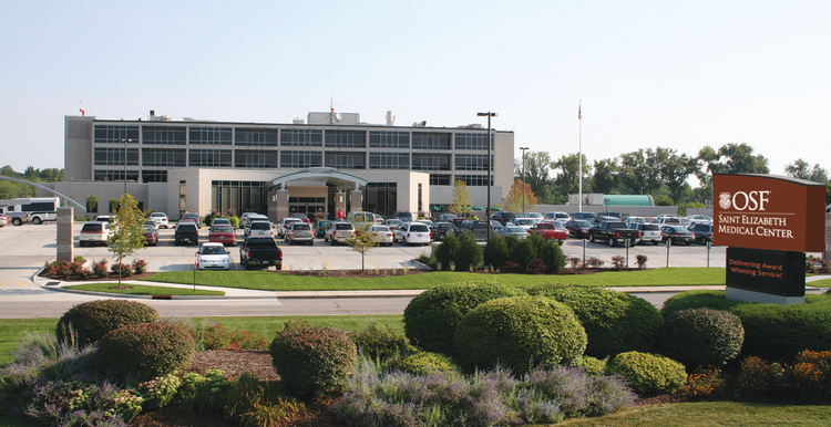 Hospital Lactation Support — Central Illinois Breastfeeding Task Force
