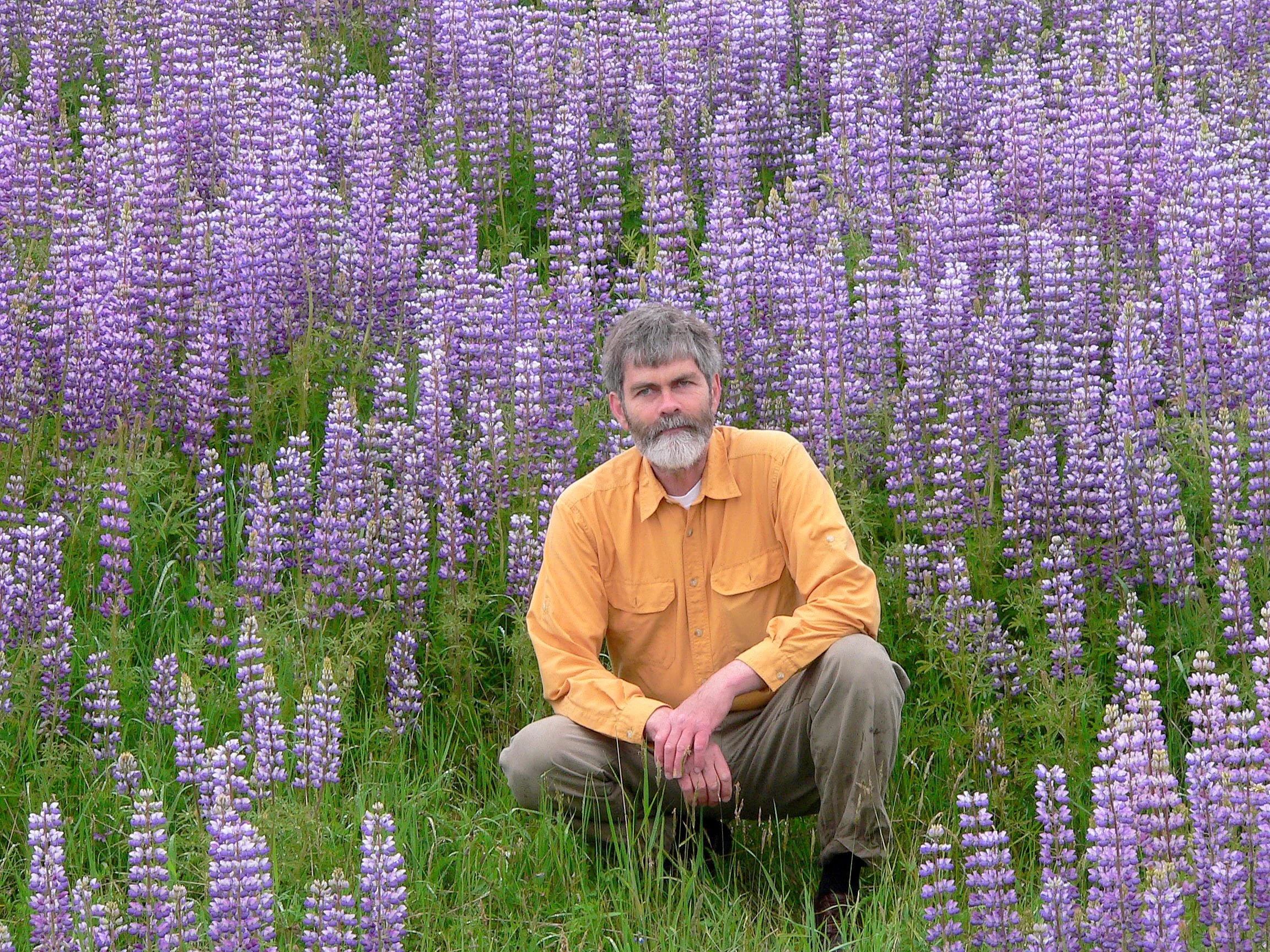 Madaket Bay Tour — Which Way The Wind