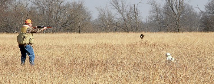 Missouri Gun & Quail Club