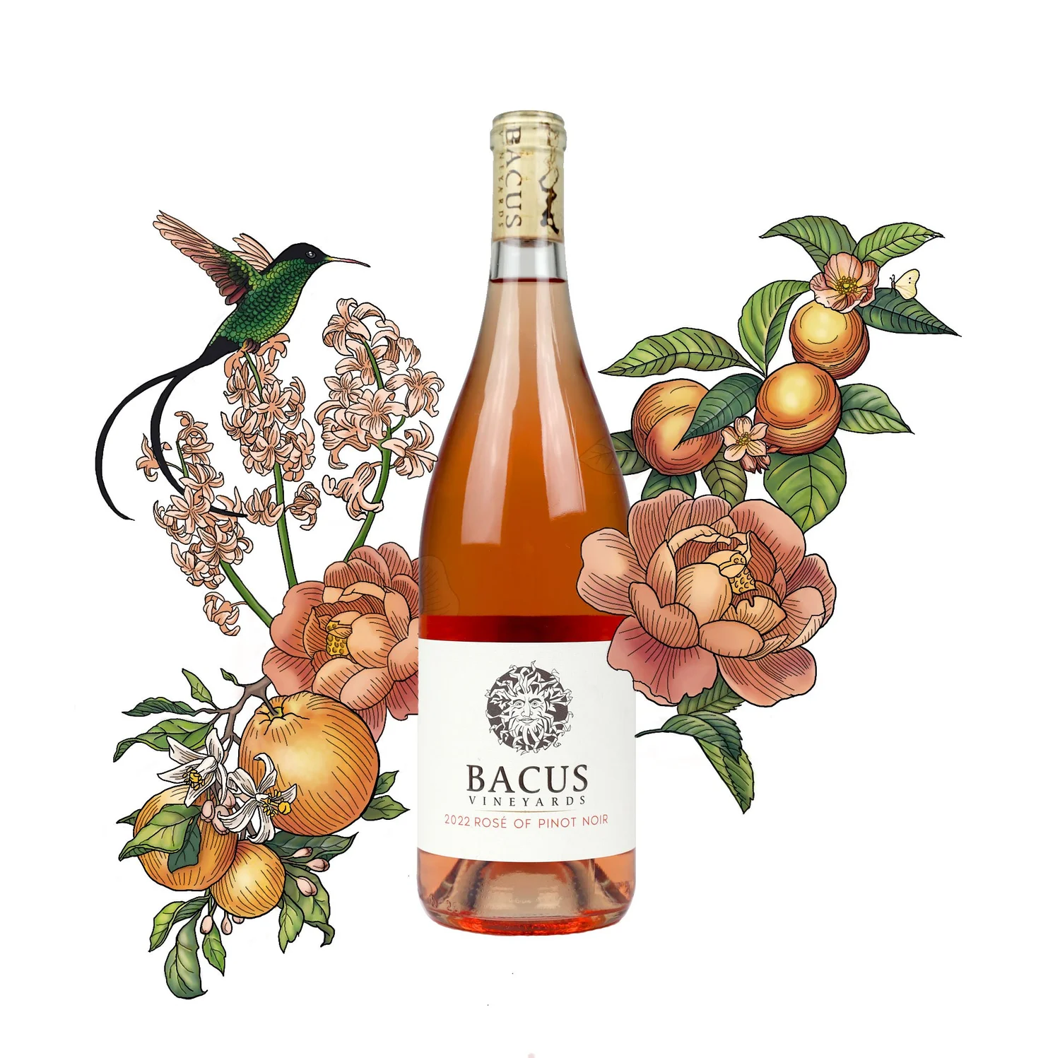 2022 Rosé — Bacus Vineyards