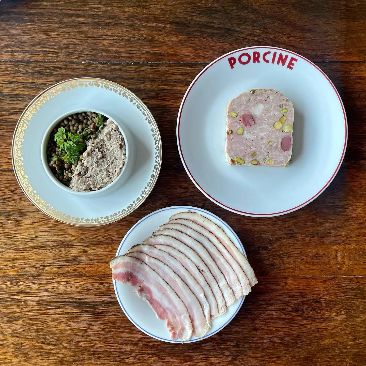 Gallery — Porcine