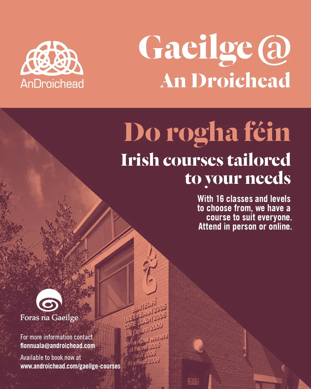 Cúrsaí | Courses — An Droichead