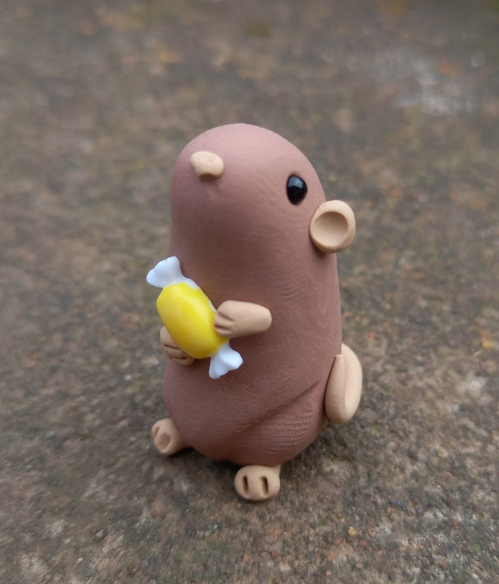 Shop — Solstice Minis