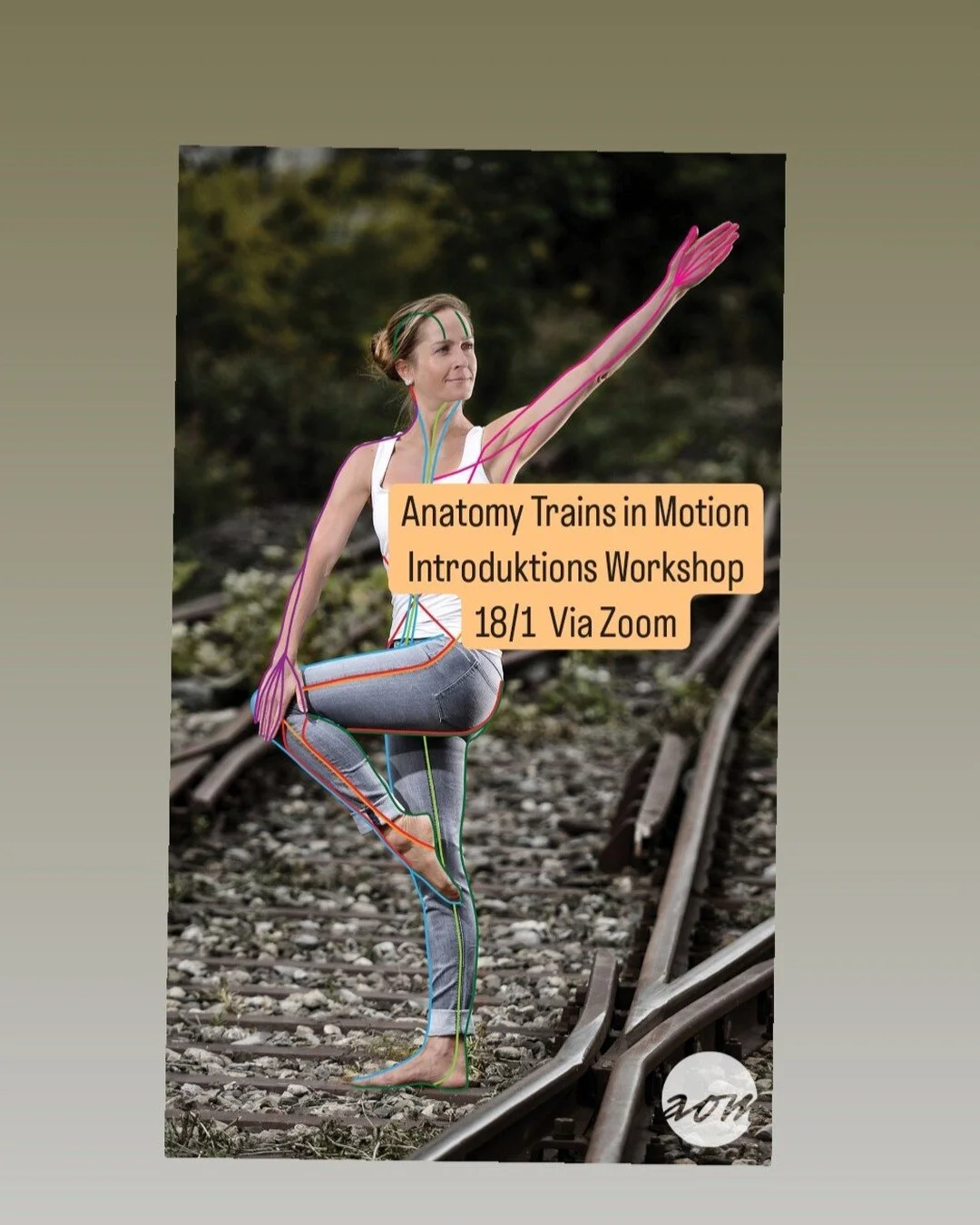 Anatomy Trains in Motion | Cecilia Douglas