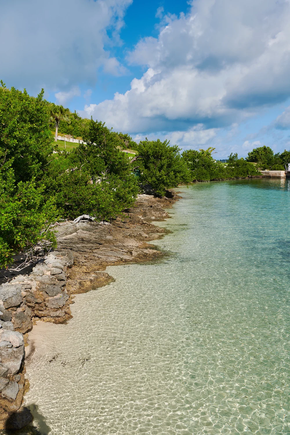 The Island — Hawkins Island