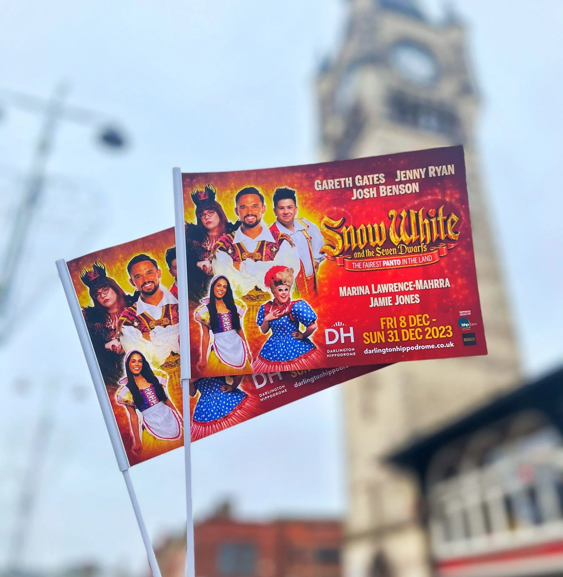 Design - Handheld Flags — Crossroads Pantomimes