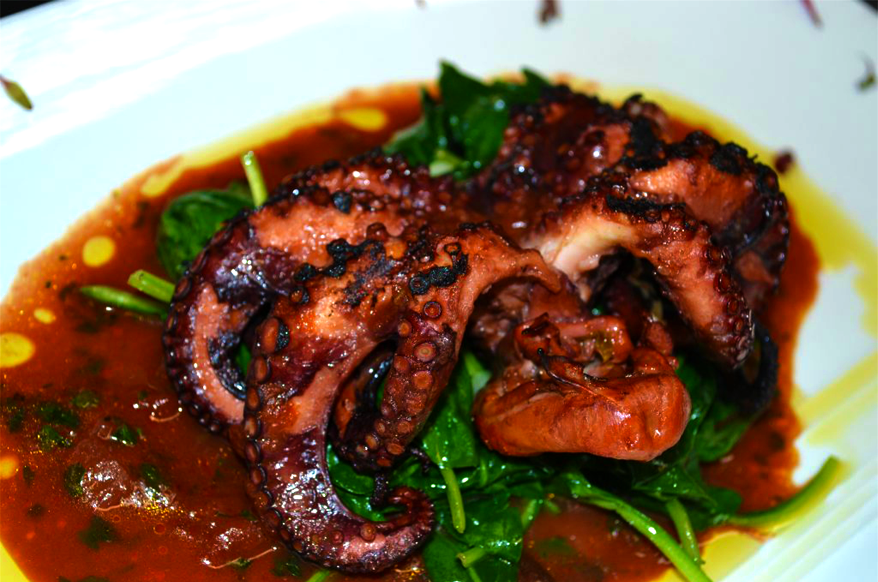 Gallery | Italianissimo | Staten Island — Italianissimo