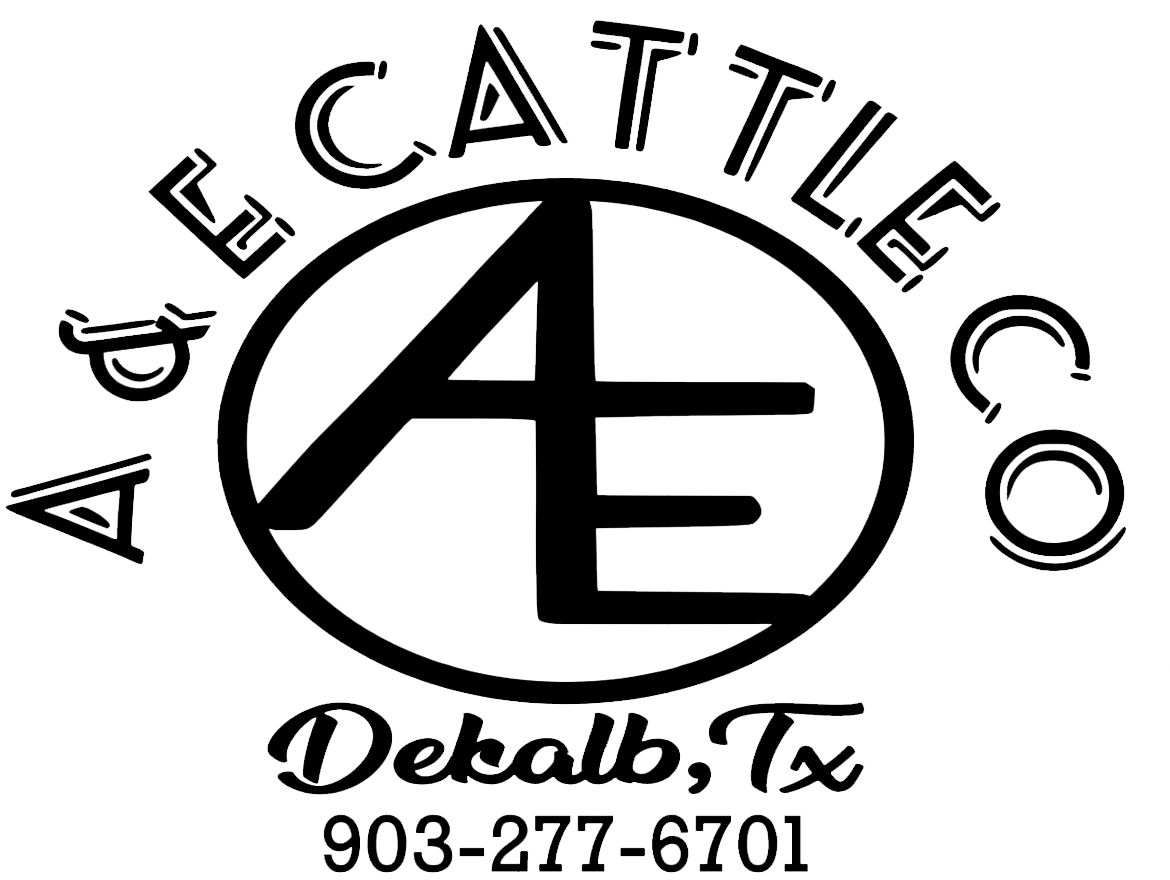 Aande Logo Png