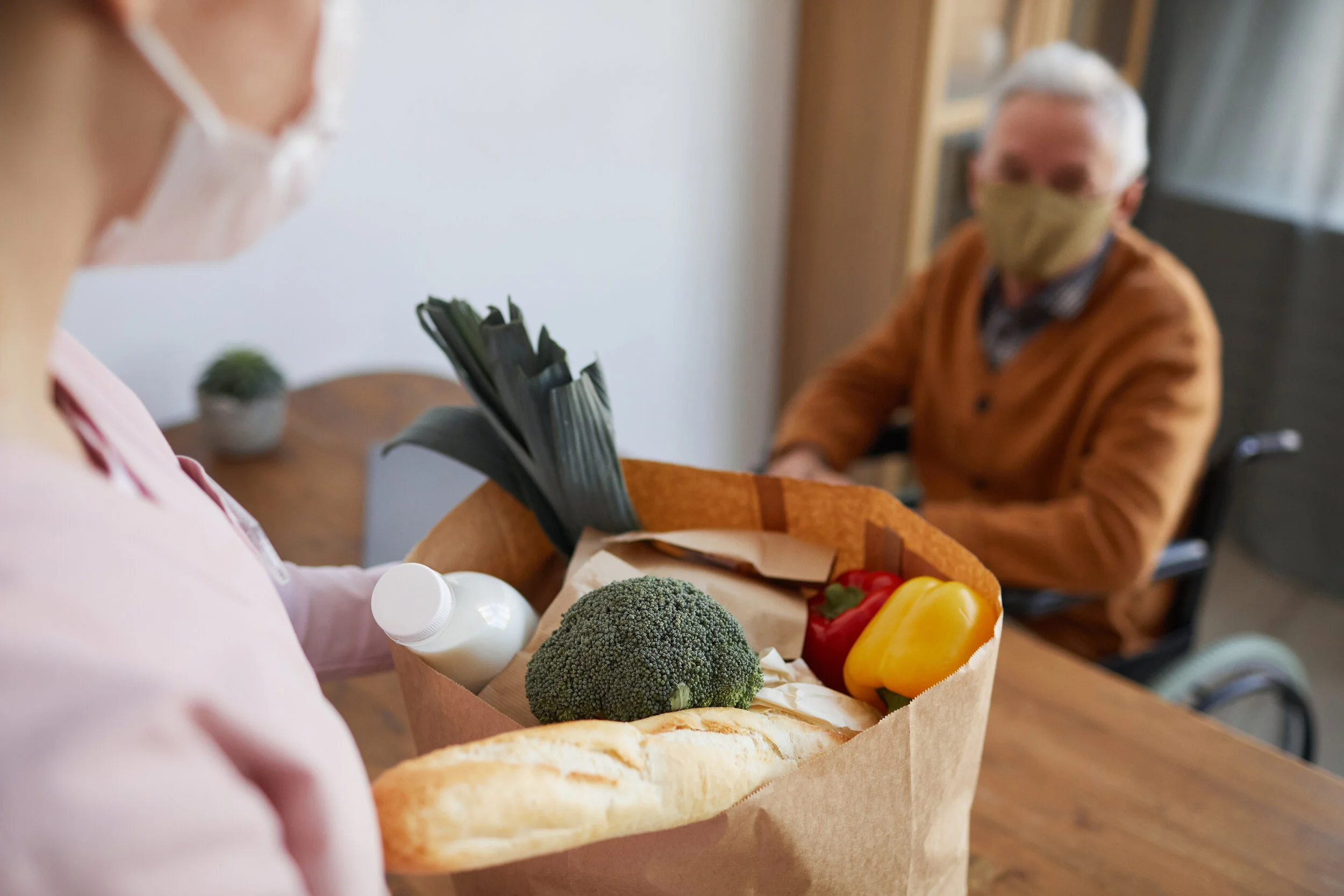 VIVA HEALTH - Professional Caregivers - In-home Support
