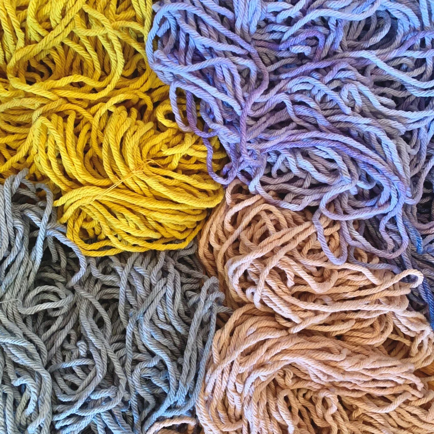 Wasted Potential Project — Data X Design 2021