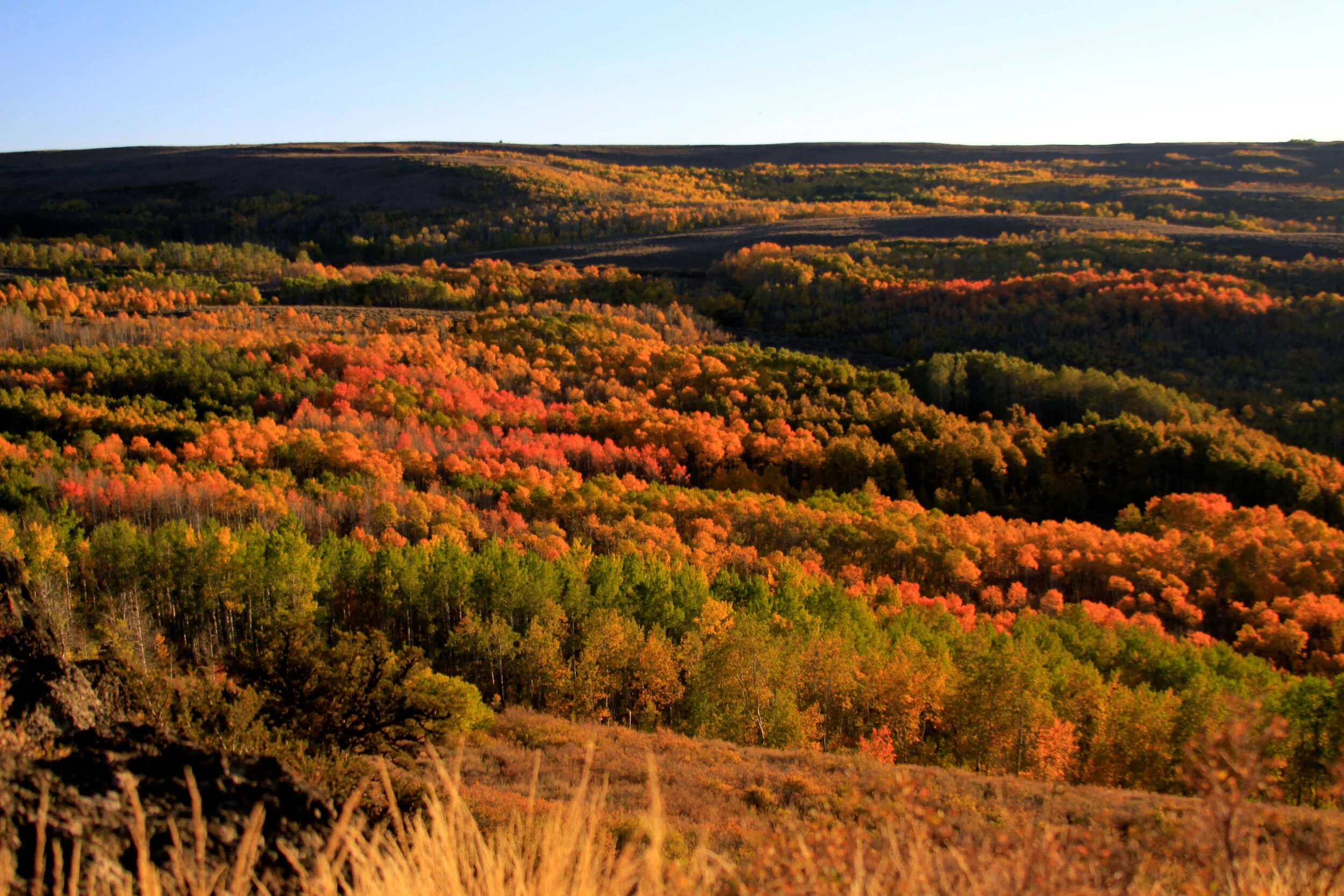 Terrain Landscape Architecture