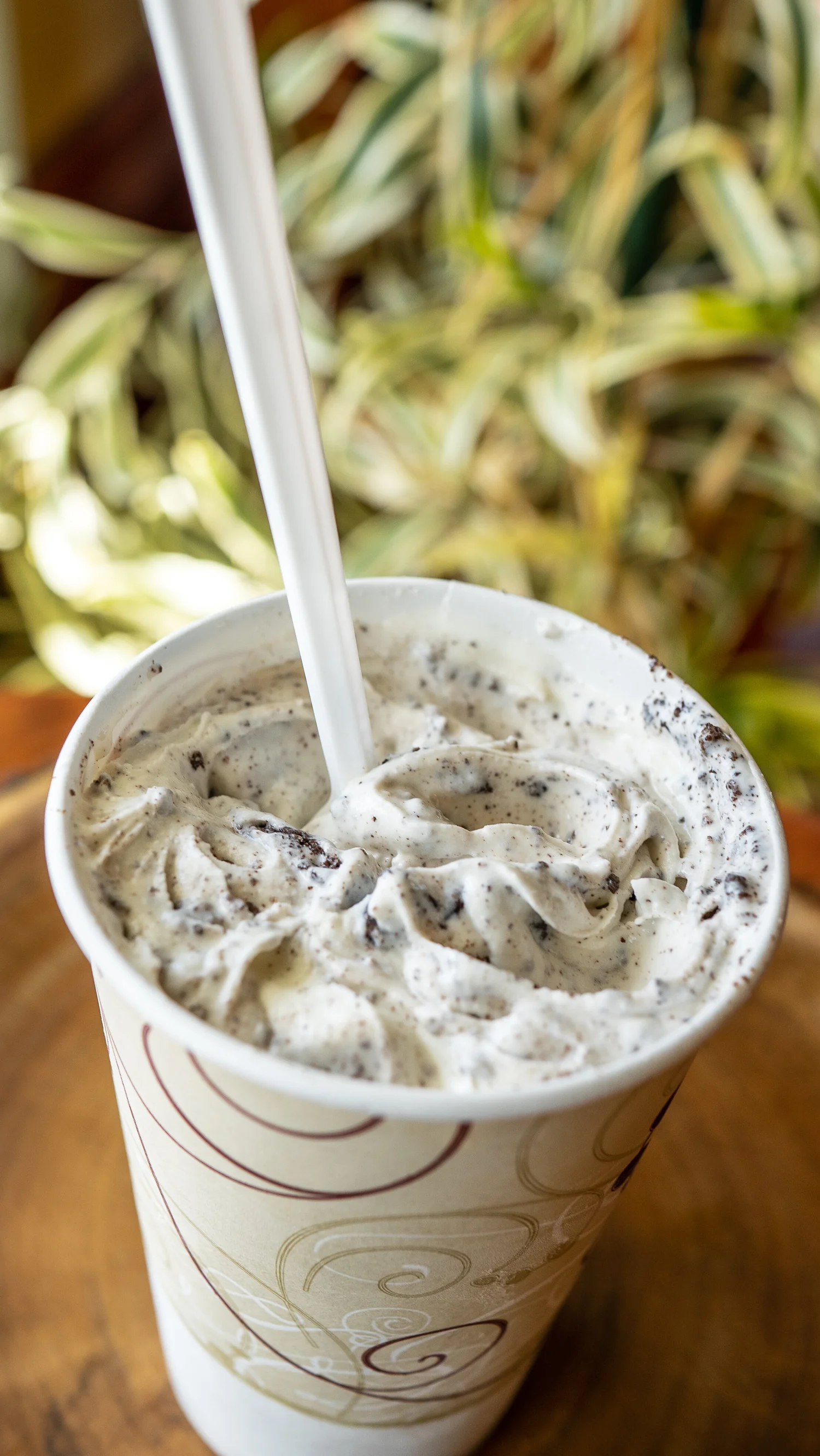 Gallery — The Moose Cafe