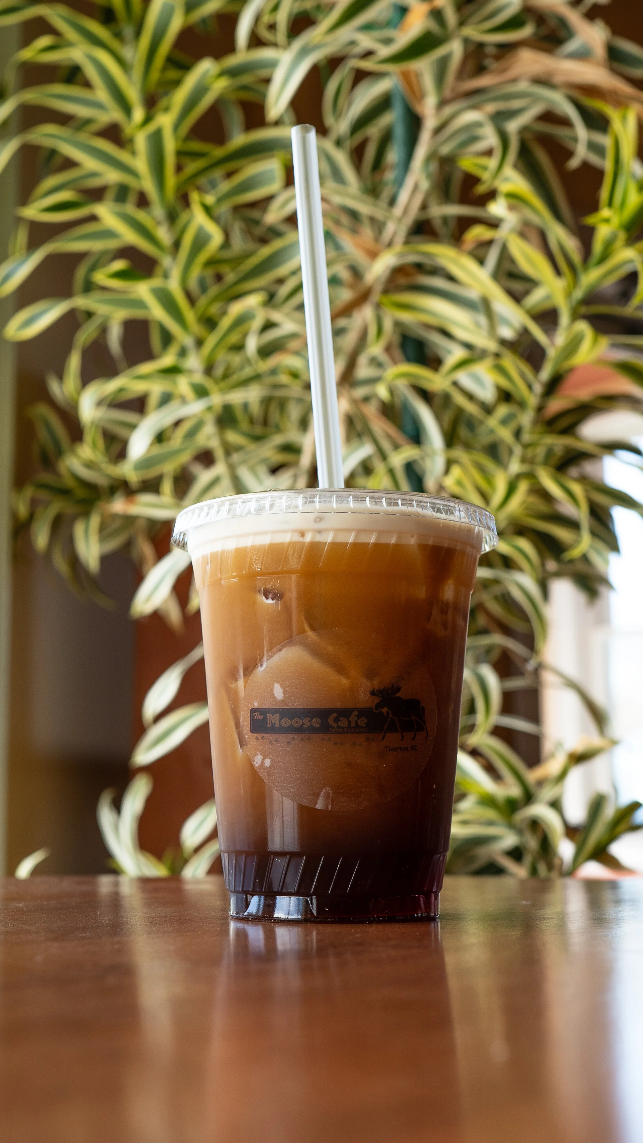 Gallery — The Moose Cafe