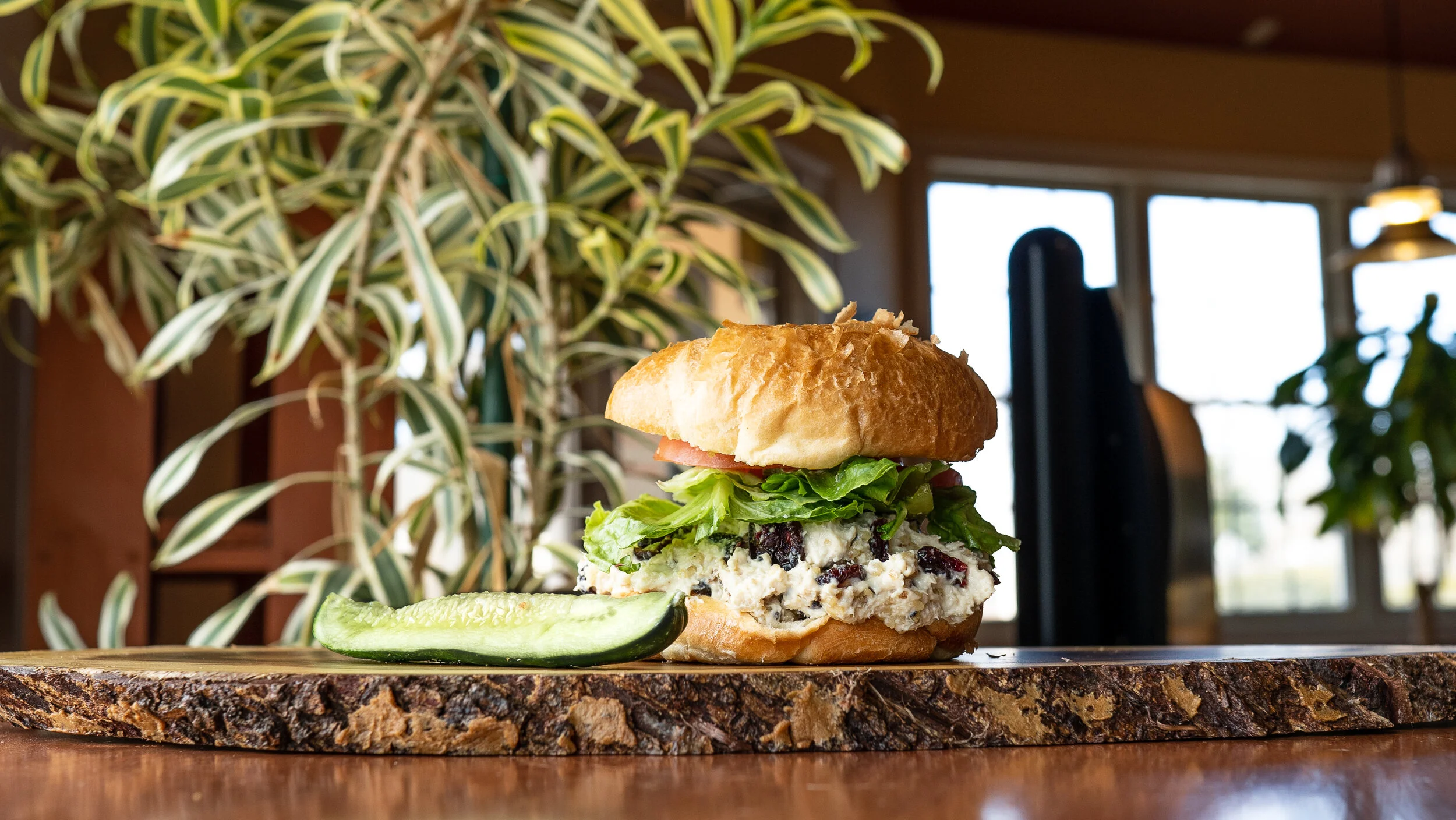 Gallery — The Moose Cafe