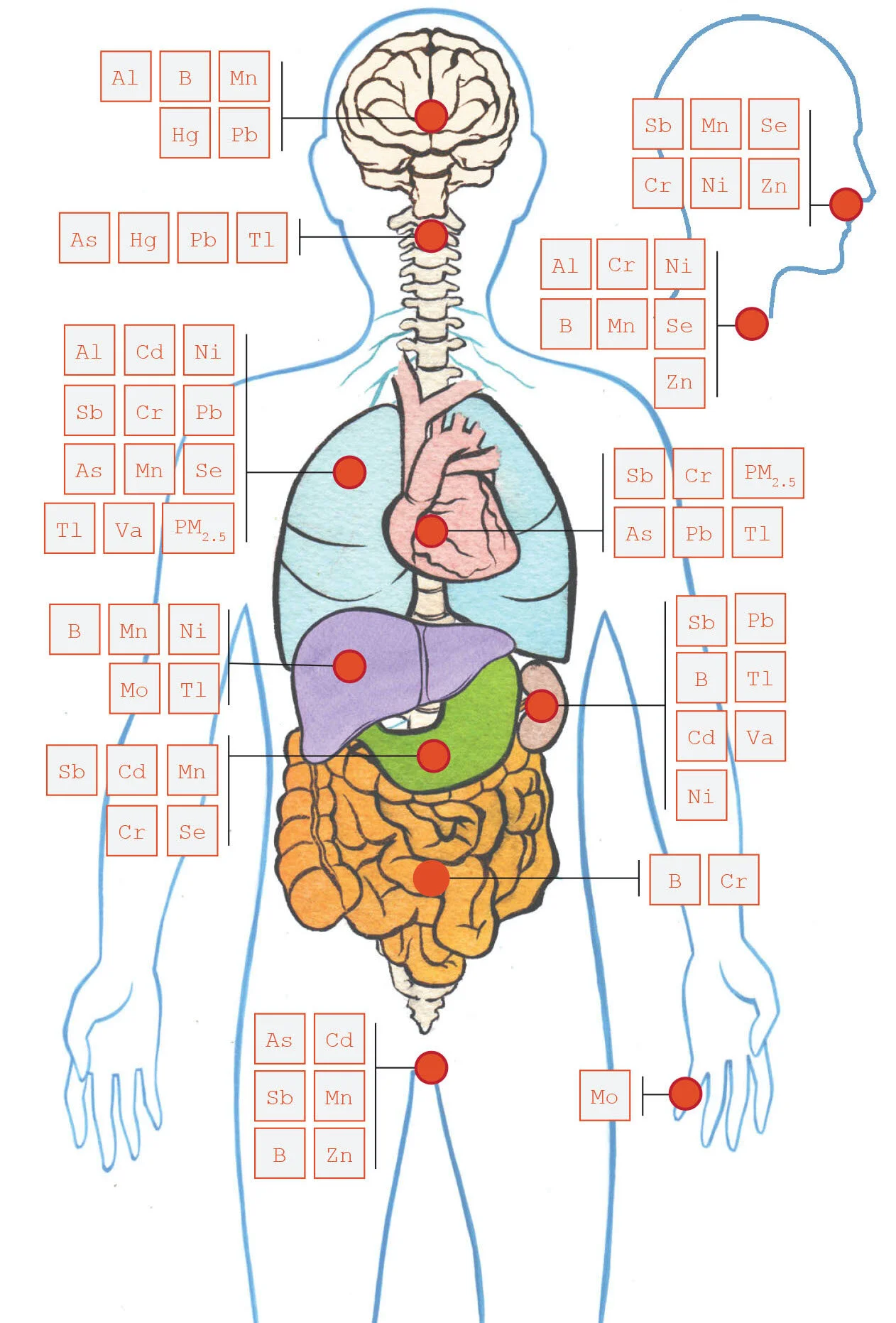 Why It Matters — Georgia Coal Ash