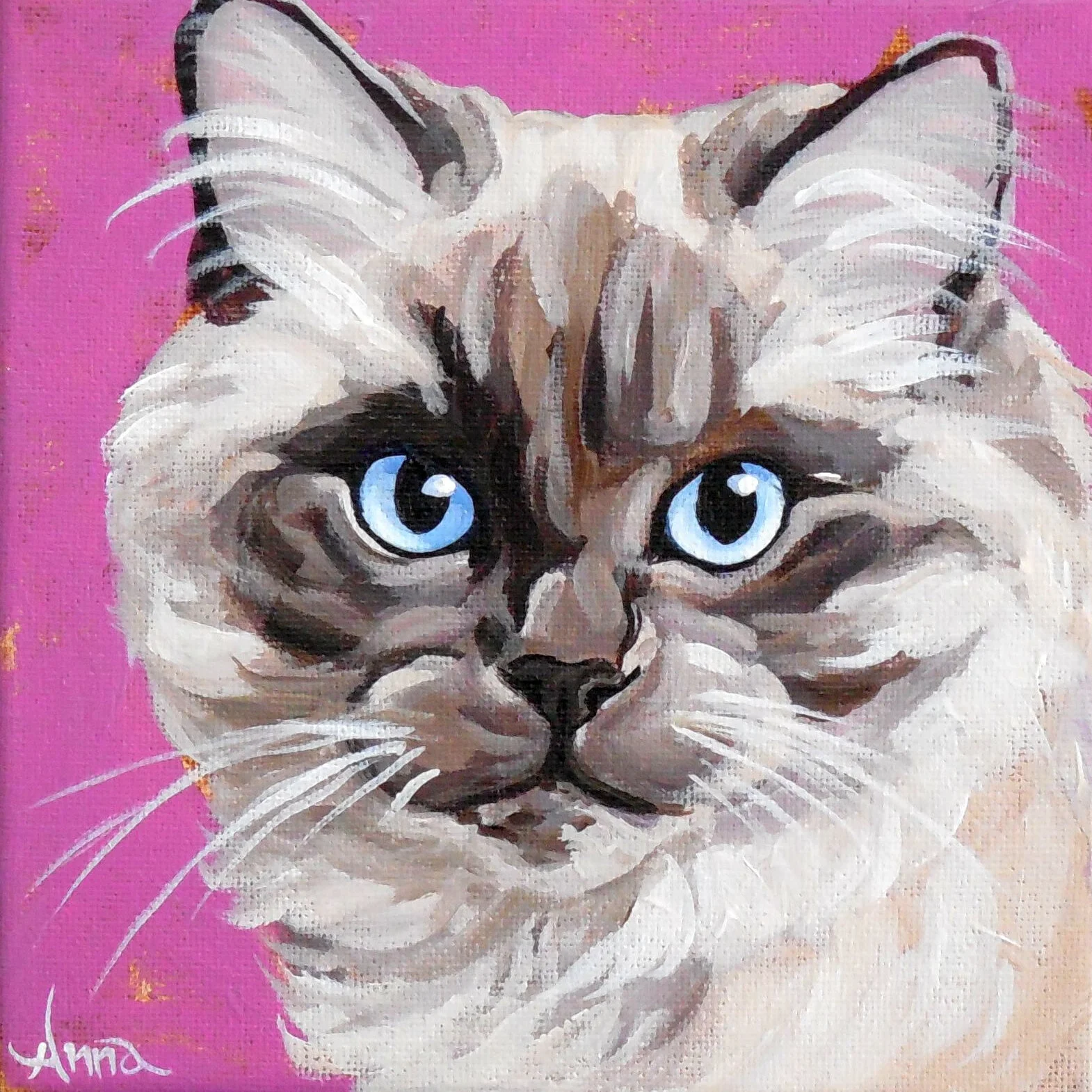 Gallery — Anna Dolly, Artist