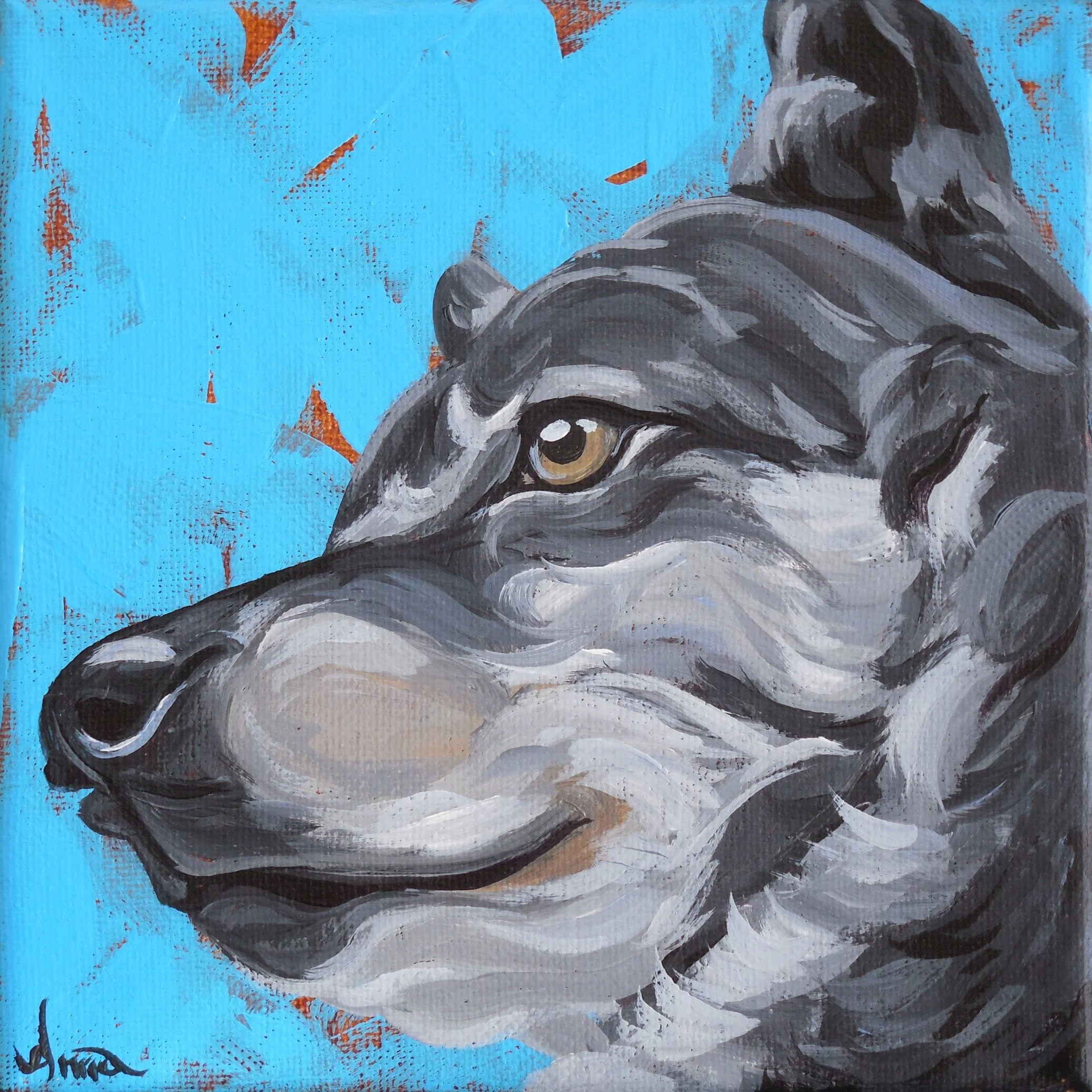 Gallery — Anna Dolly, Artist