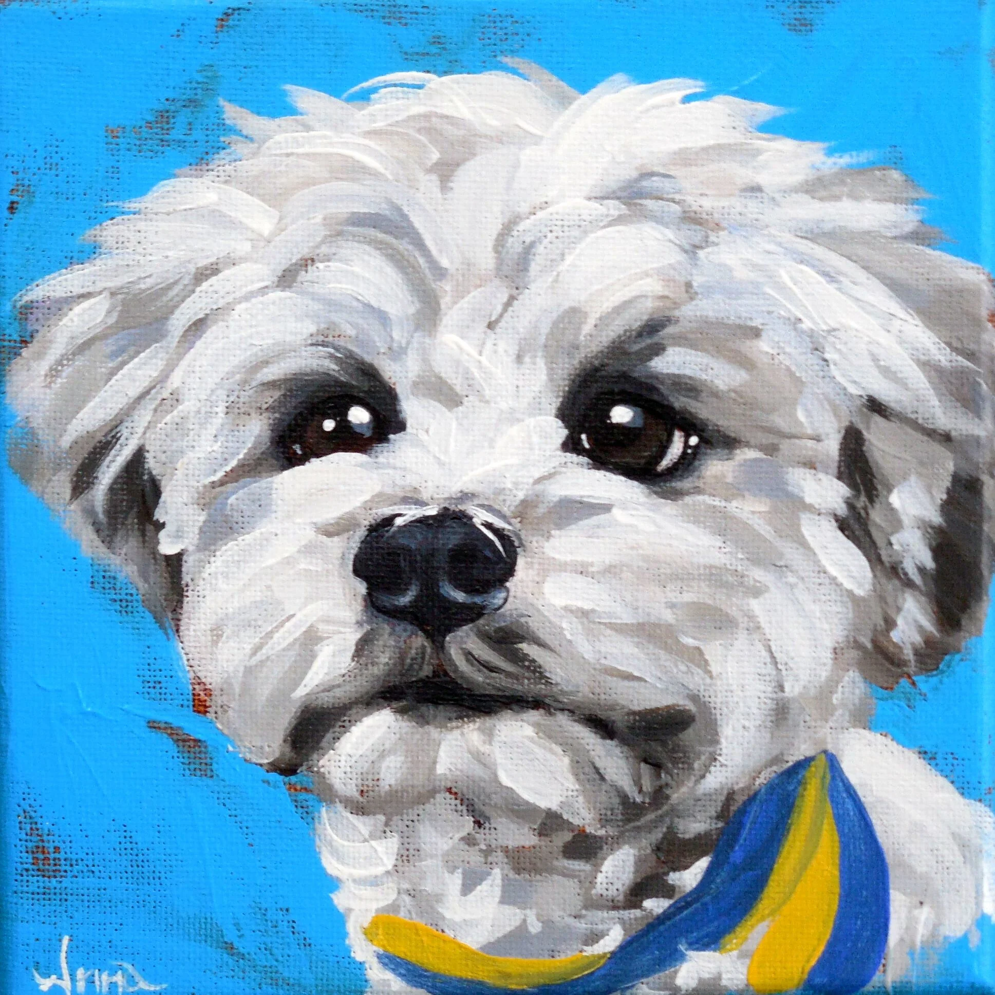 Gallery — Anna Dolly, Artist