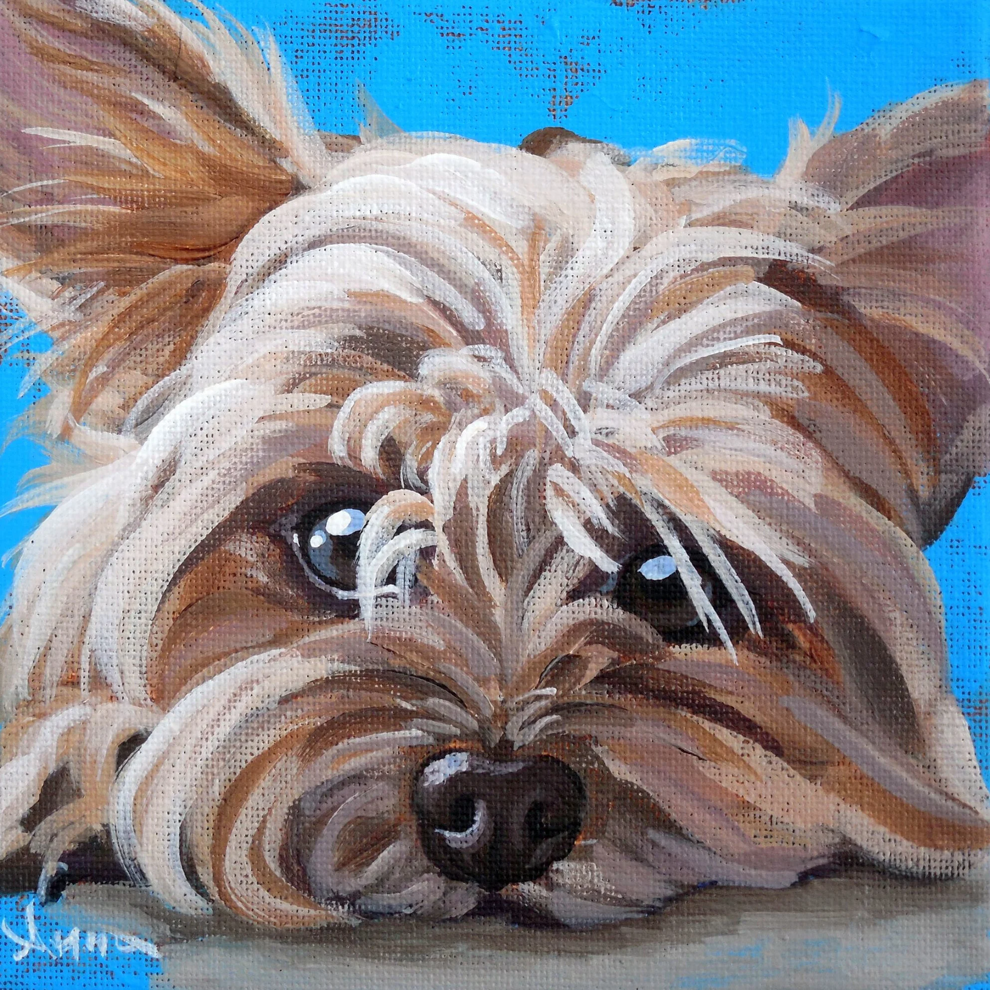 Gallery — Anna Dolly, Artist