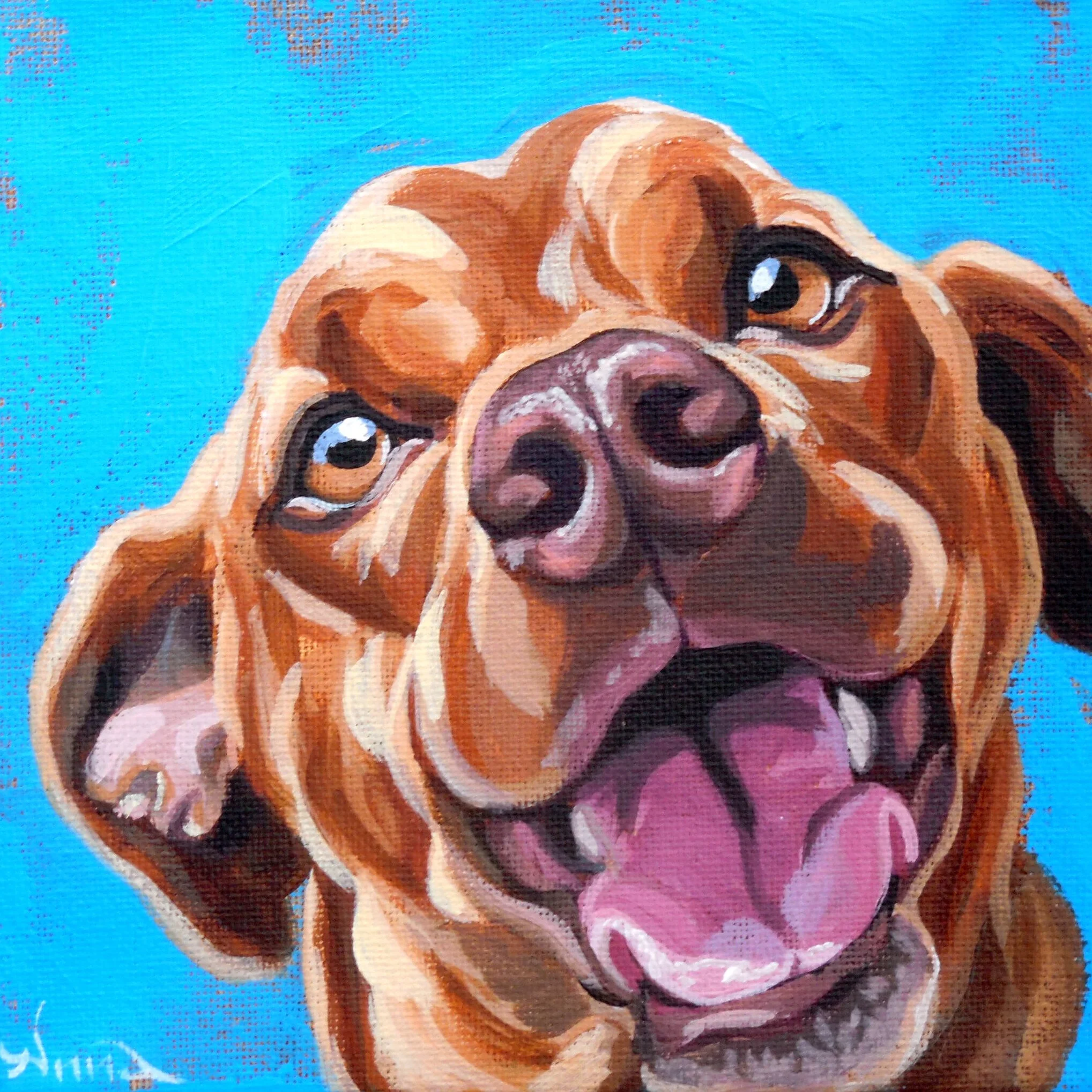 Gallery — Anna Dolly, Artist