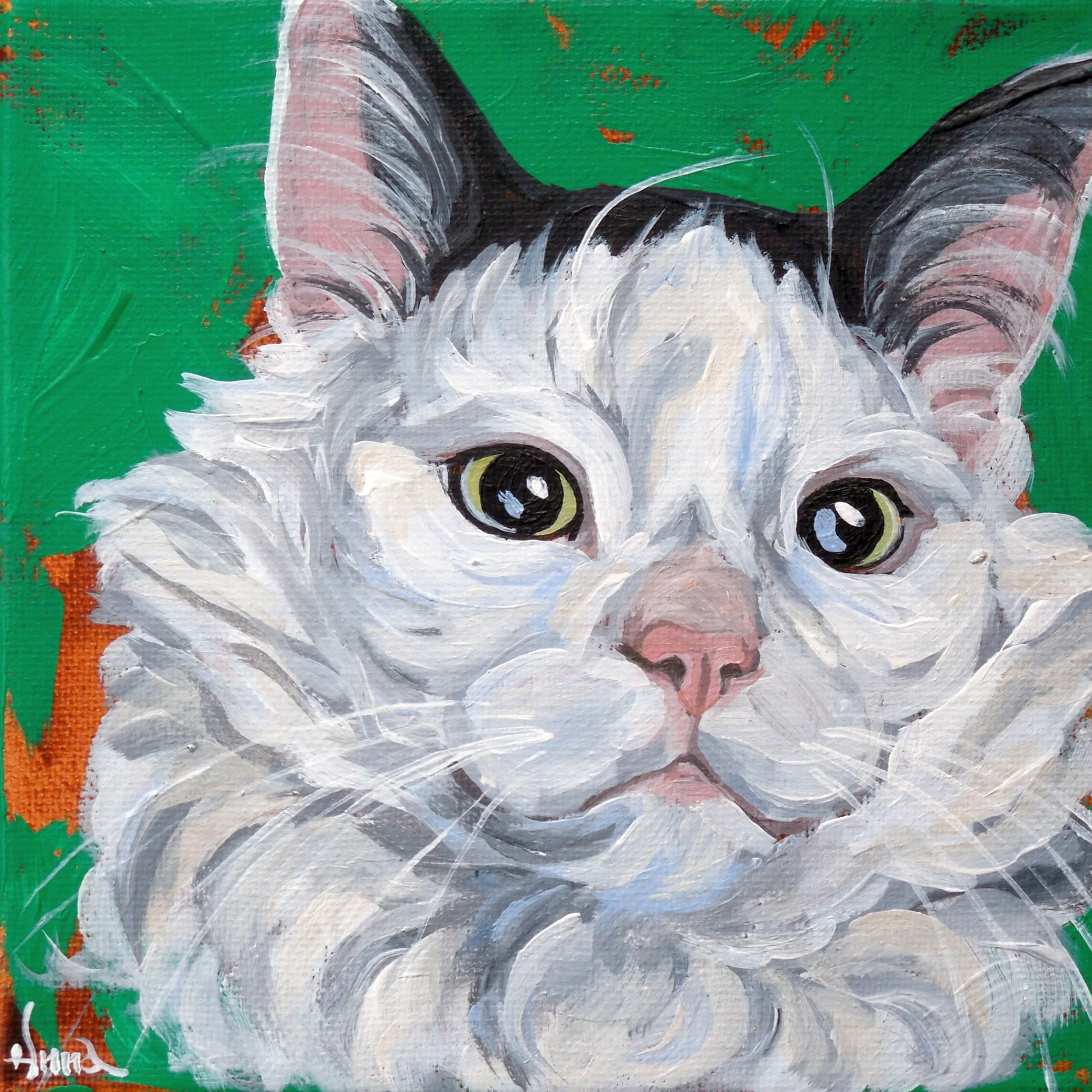 Gallery — Anna Dolly, Artist