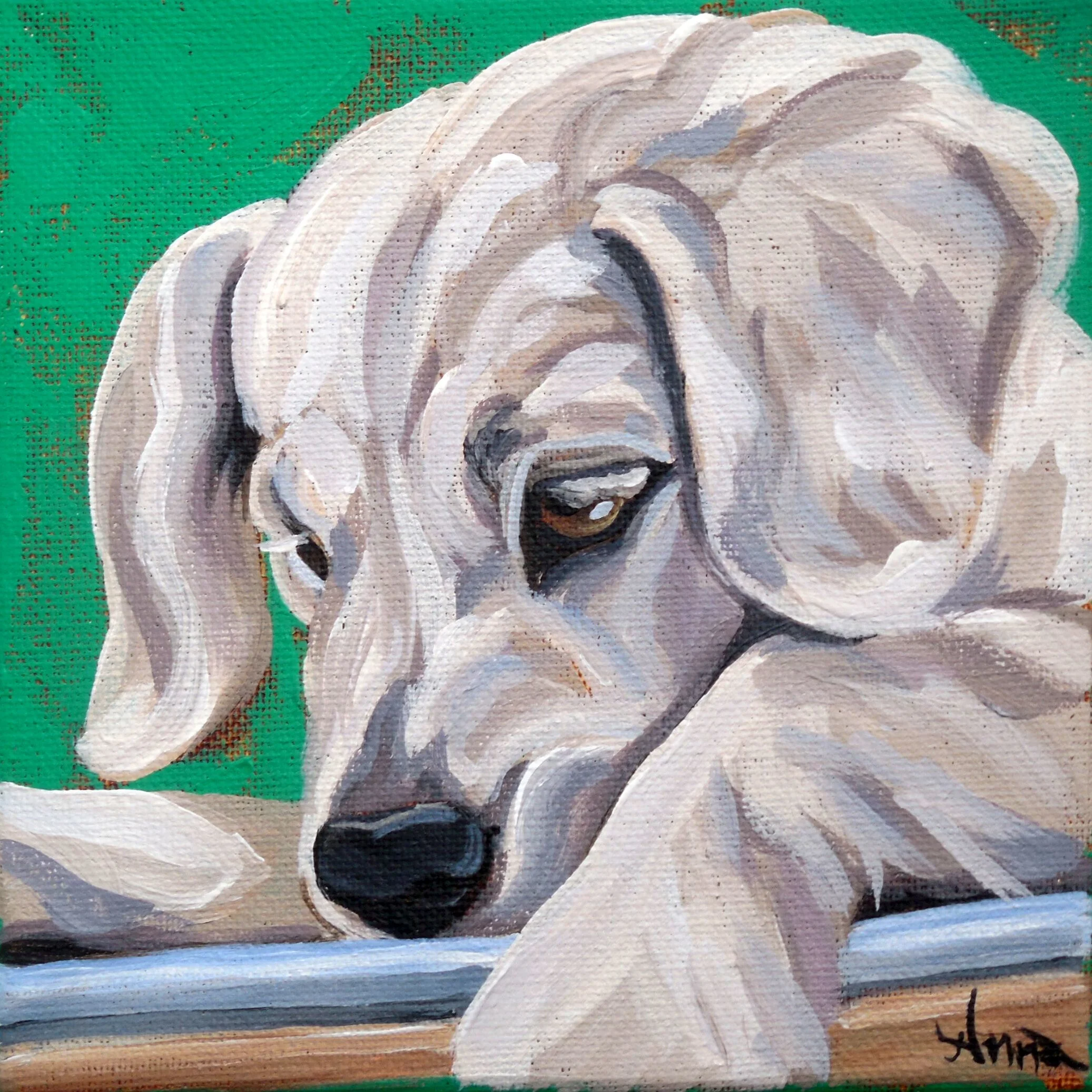 Gallery — Anna Dolly, Artist