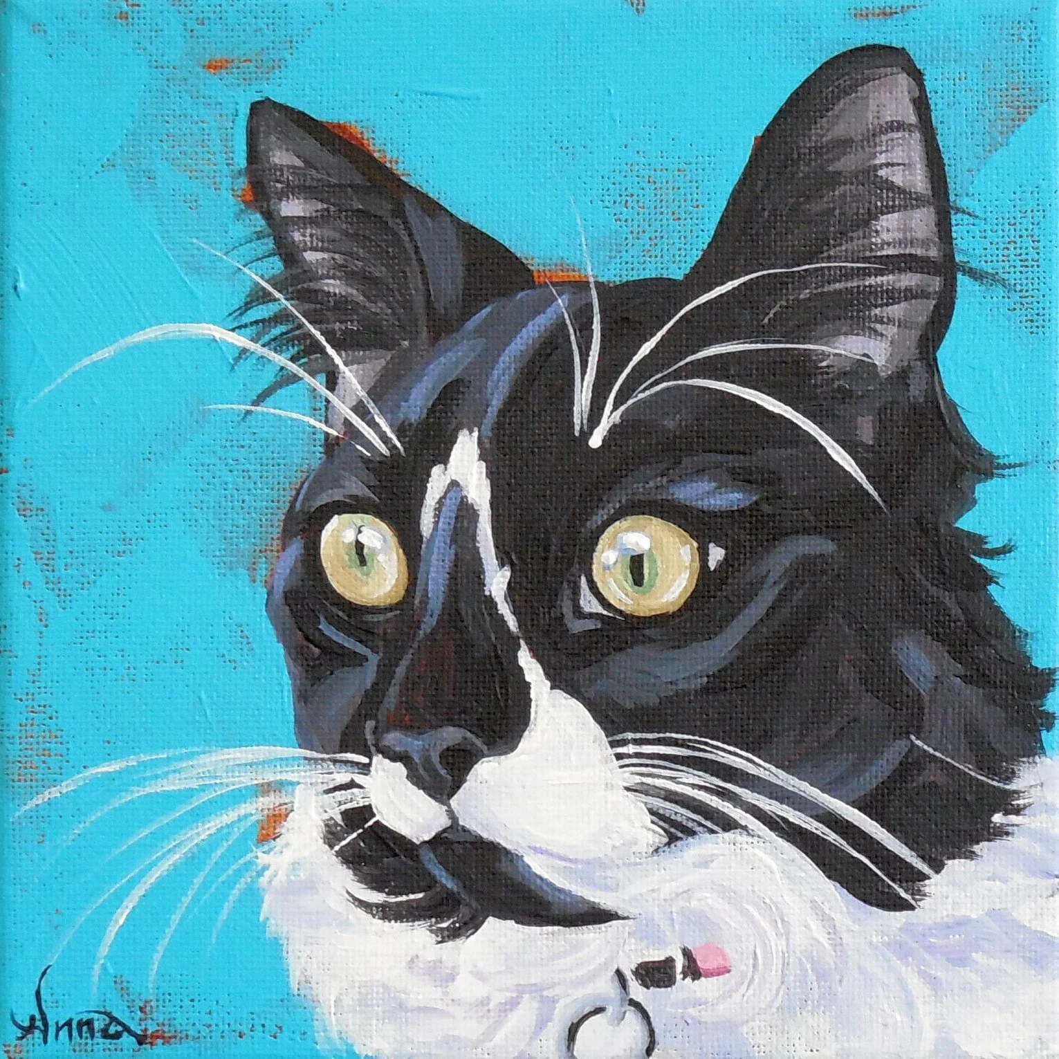 Gallery — Anna Dolly, Artist