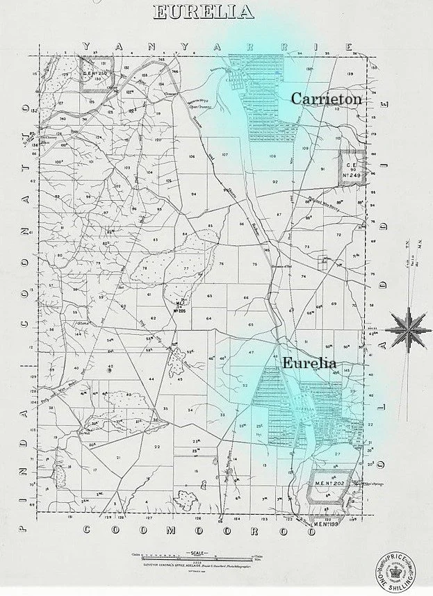 Carrieton — William Thomas & Elizabeth McBride