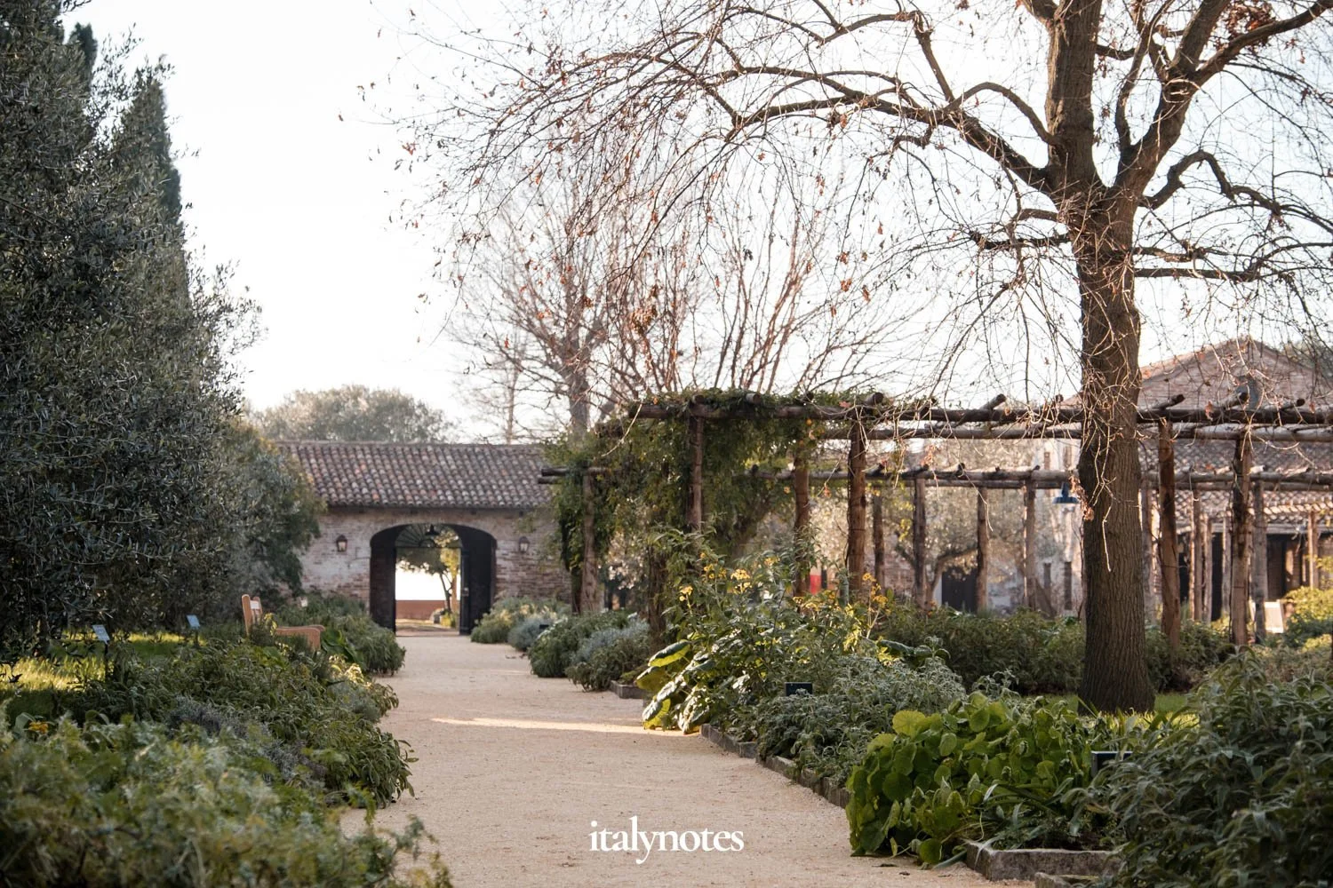 Il Redentore: votive church and God's deliverance of the plague