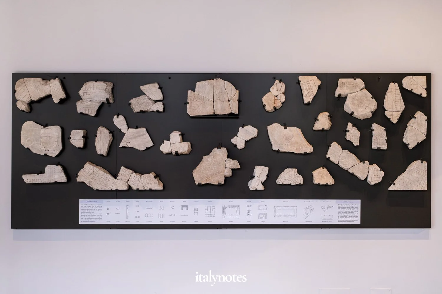 Museo della Forma Urbis: discover the marble map of ancient Rome