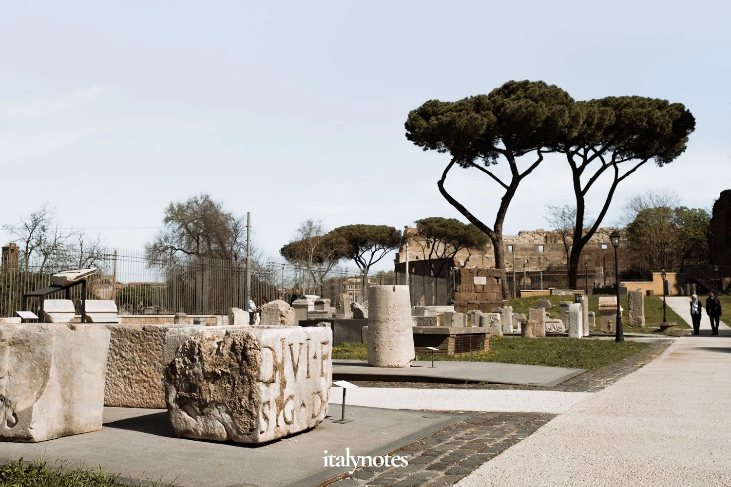 Museo della Forma Urbis: discover the marble map of ancient Rome