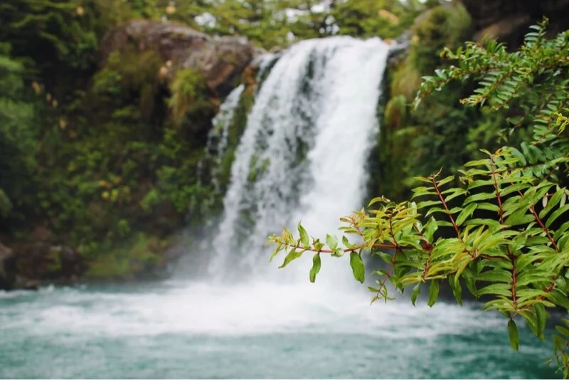 Photography — Kaylie Murphy