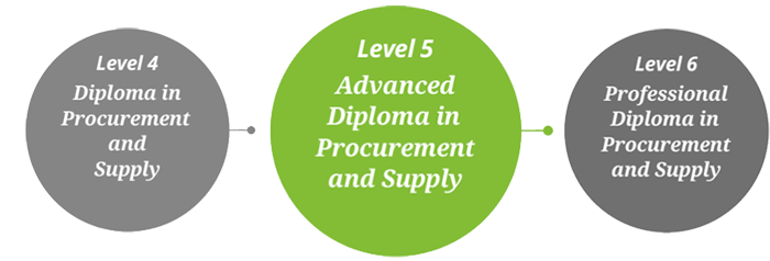 CIPS Level 5 in Procurement and Supply — Lean Procurement Ltd.