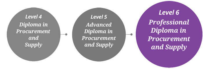 CIPS Level 6 in Procurement and Supply — Lean Procurement Ltd.